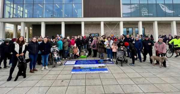 GALLERY: Celebration walk marks Craigavon City Park victory - Photo 1 ...