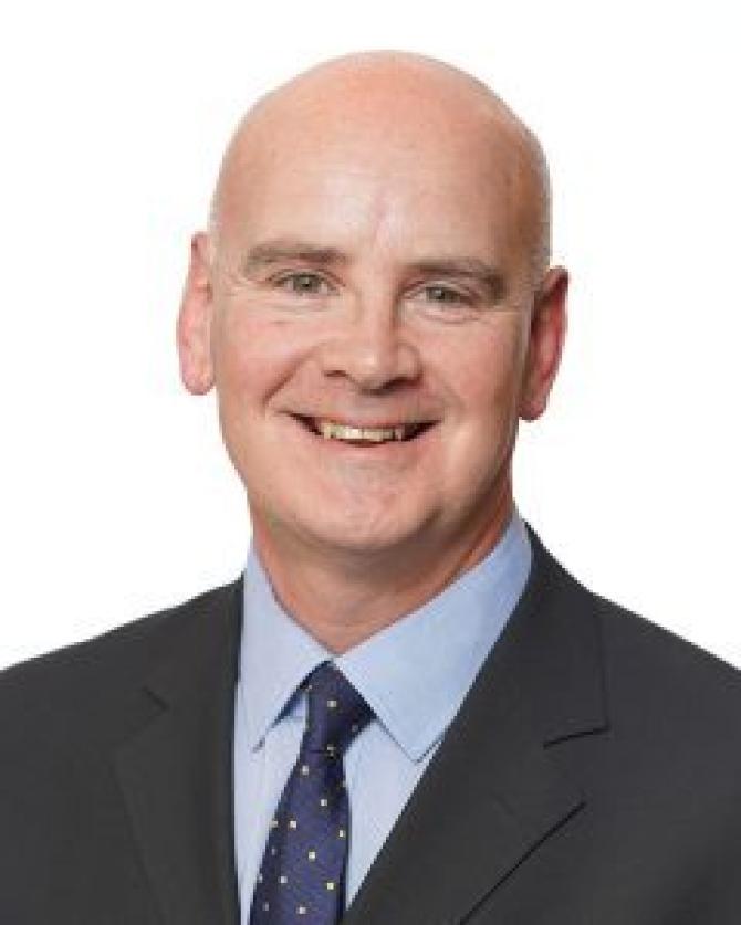 Councillor calls on Council to contact DfI as 100 mature trees felled ...