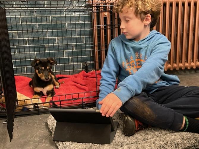 Elijah (7) to prove that he's some pup by walking Ben Nevis for animal ...